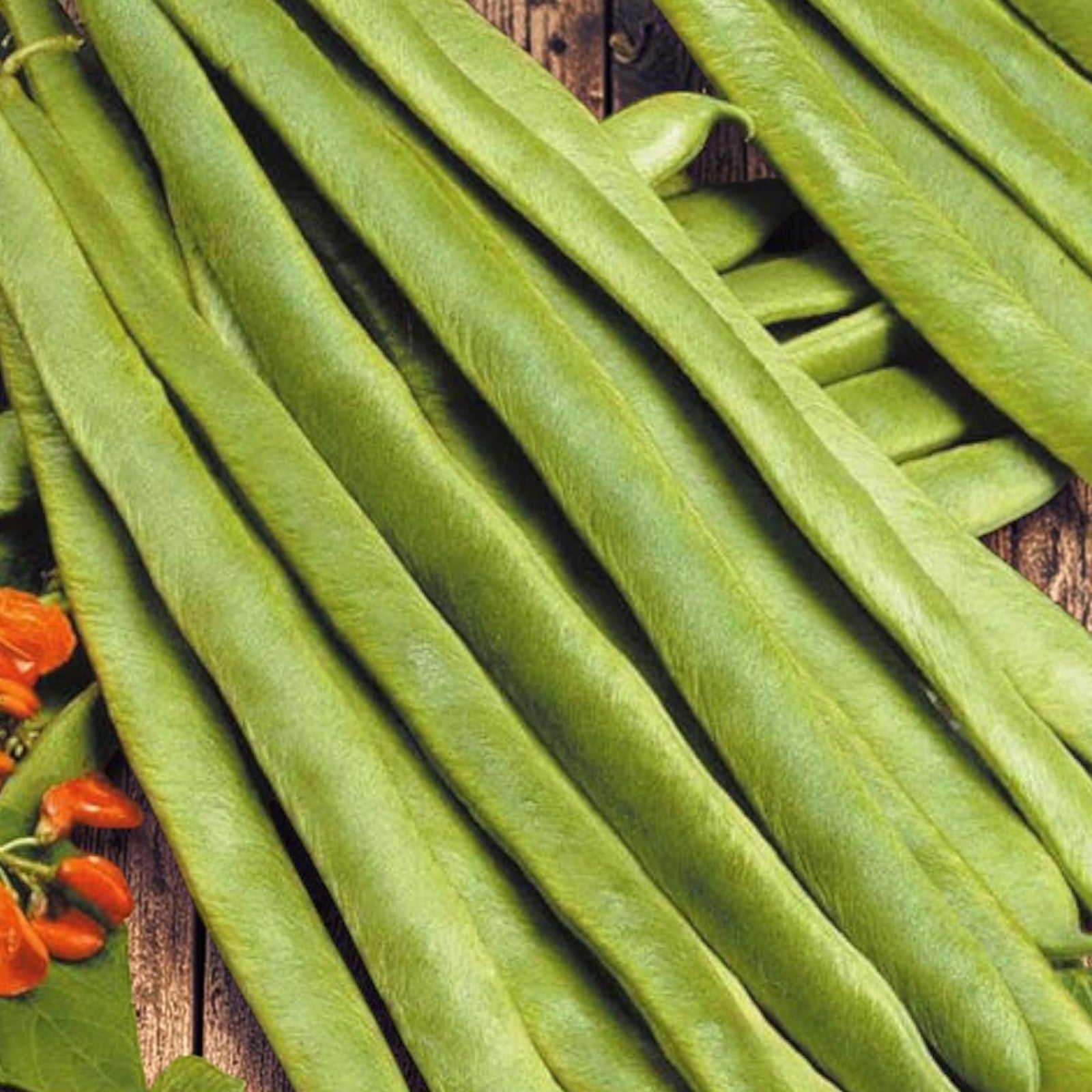 Runner Bean Scarlet Emperor | Classic Red Flowers