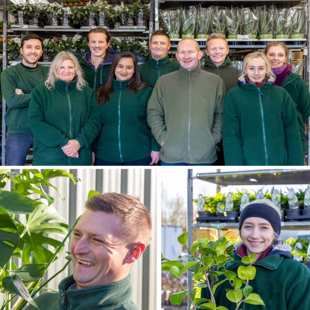 About Carbeth Plants